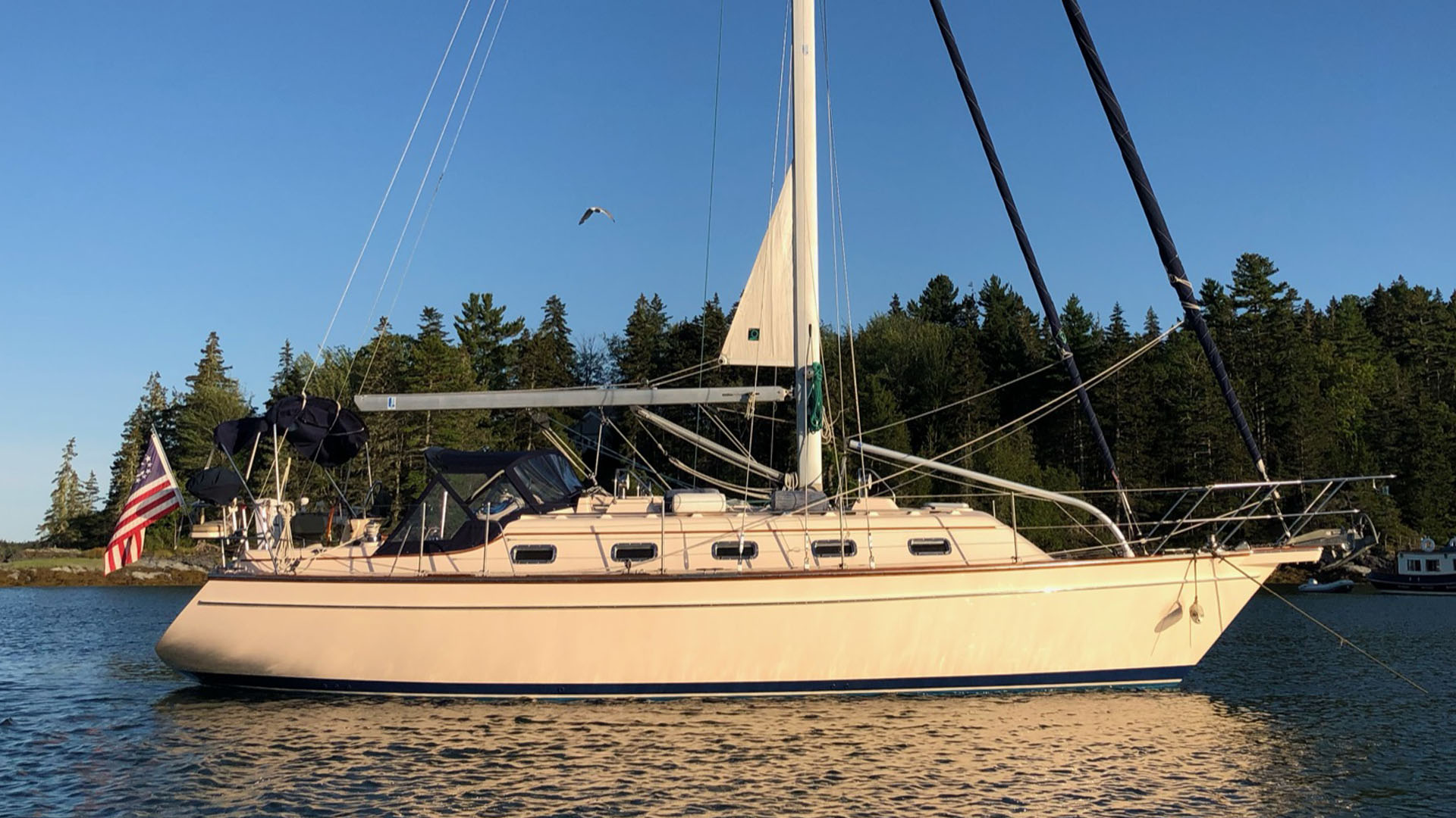 Bob Marston - Wellington Yacht Sales | Brokerage, New, Preowned, Power ...